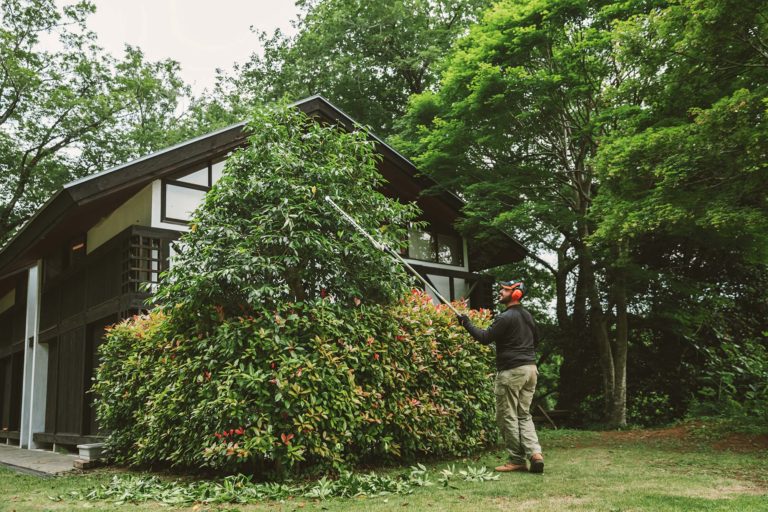 Echo DPAS-300 - Powercut