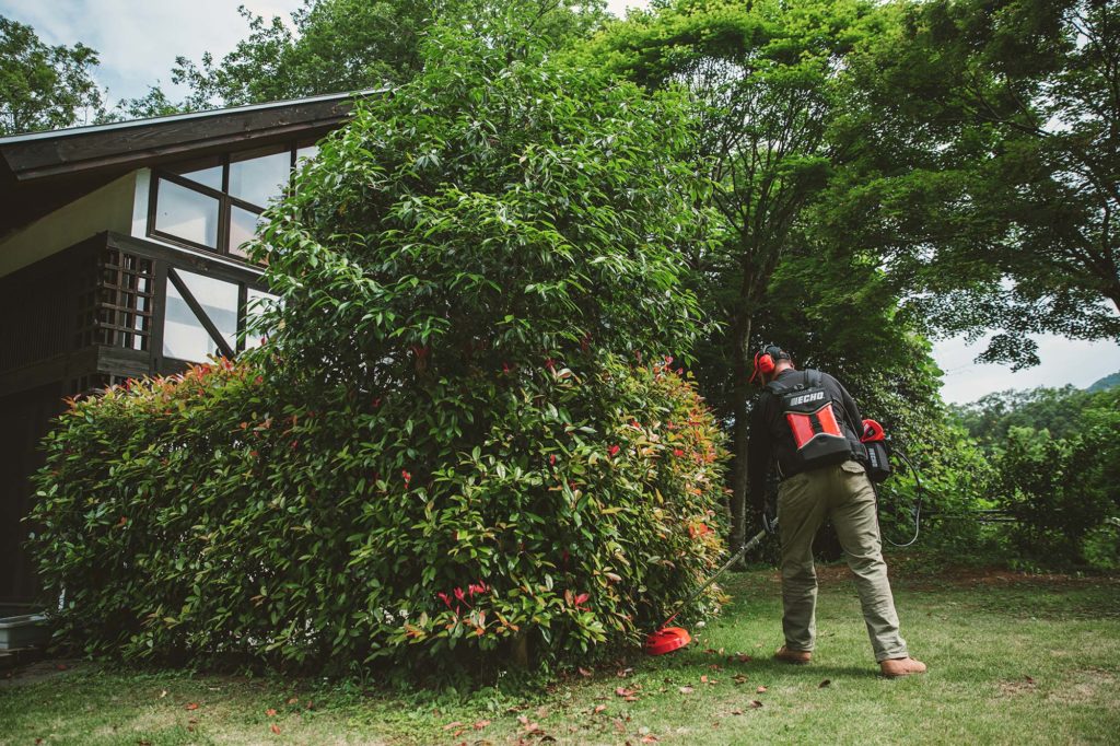 Echo DPAS-300 - Powercut